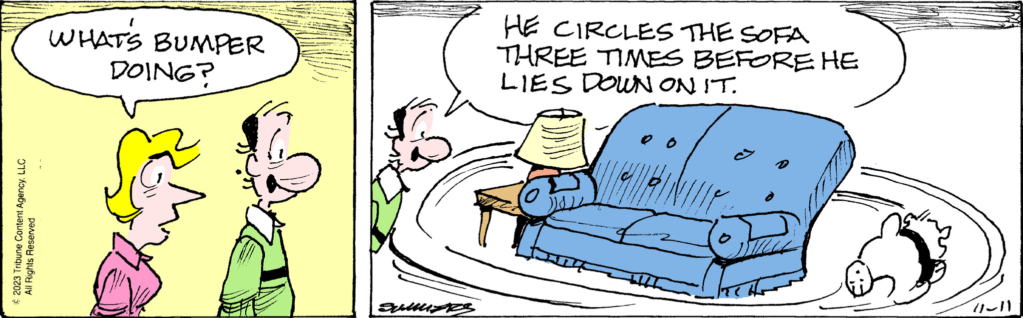 The Middletons Comic Strip 2023-11-11 | Comics Kingdom