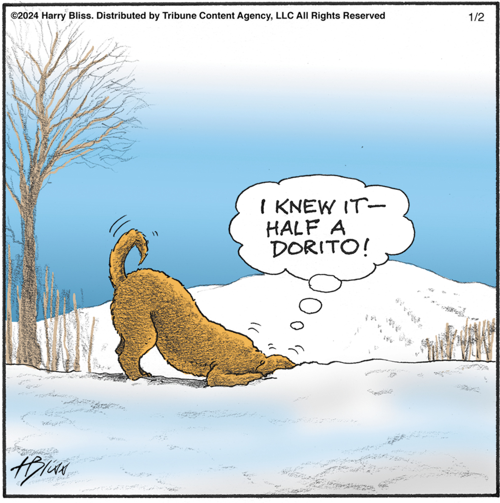 Bliss Comic Strip 2024-01-02 | Comics Kingdom