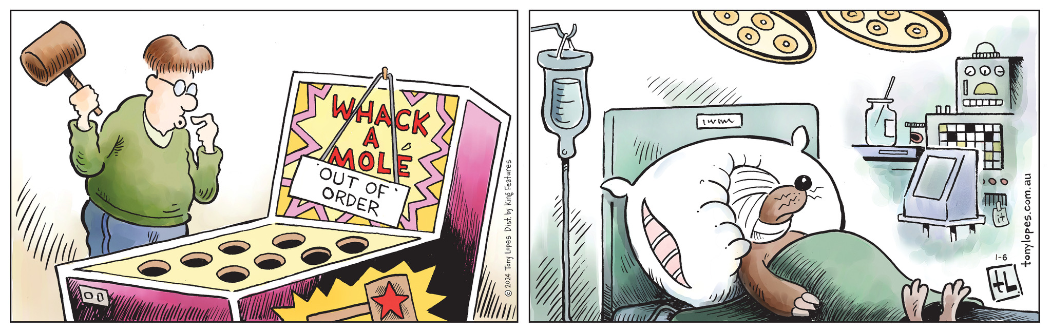 Insanity Streak Comic Strip 2024-01-06 | Comics Kingdom