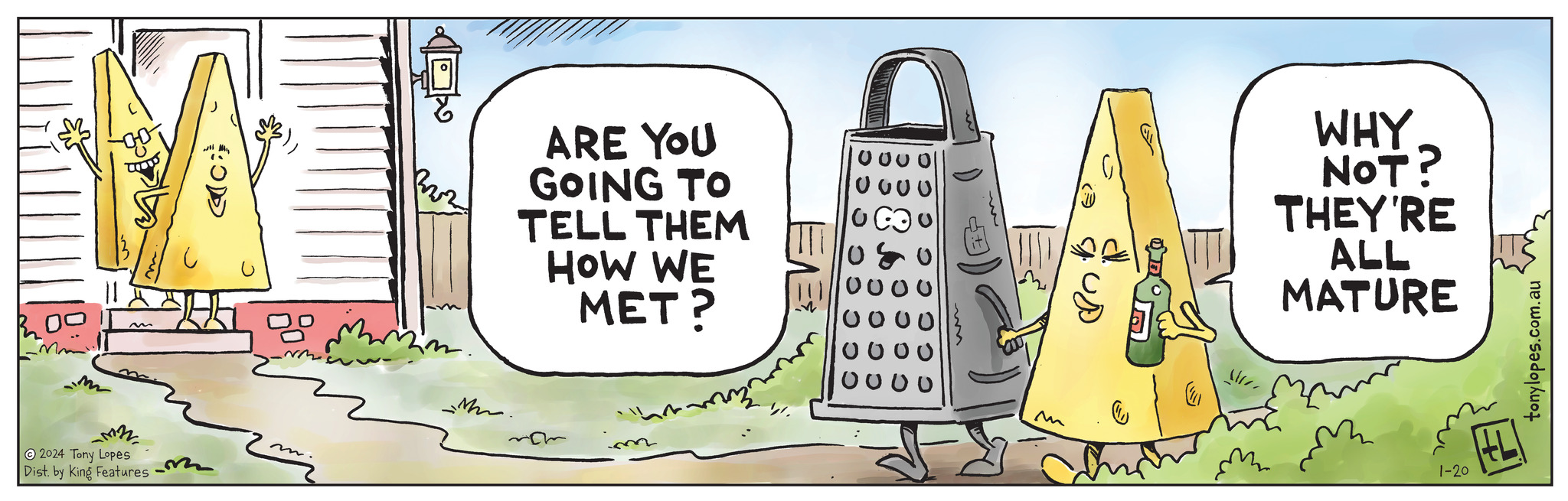 Insanity Streak Comic Strip 2024-01-20 | Comics Kingdom