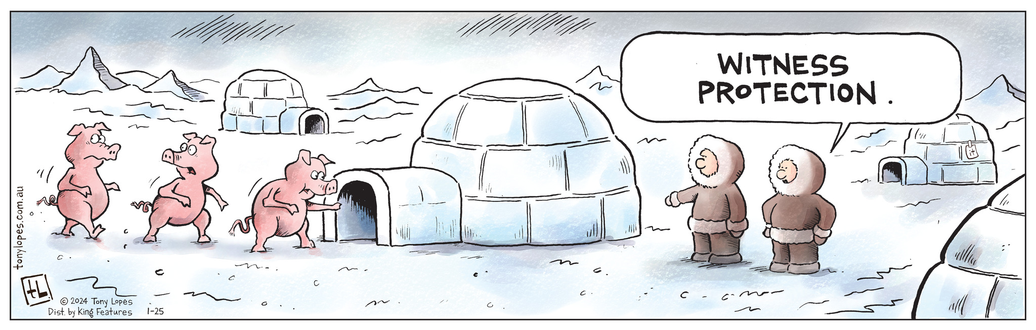 Insanity Streak Comic Strip 2024-01-25 | Comics Kingdom