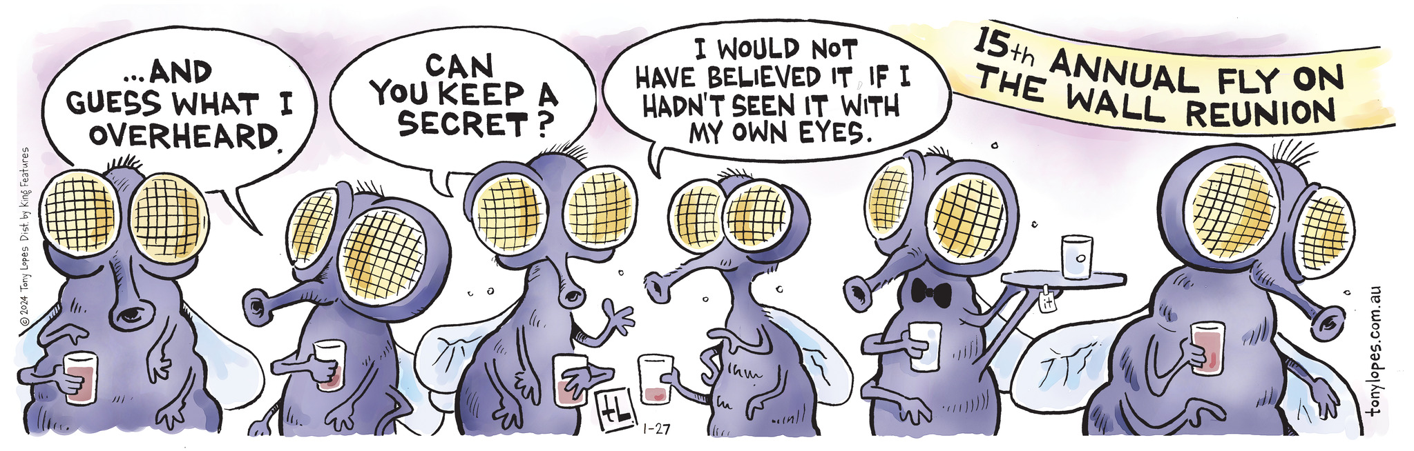 Insanity Streak Comic Strip 2024-01-27 | Comics Kingdom