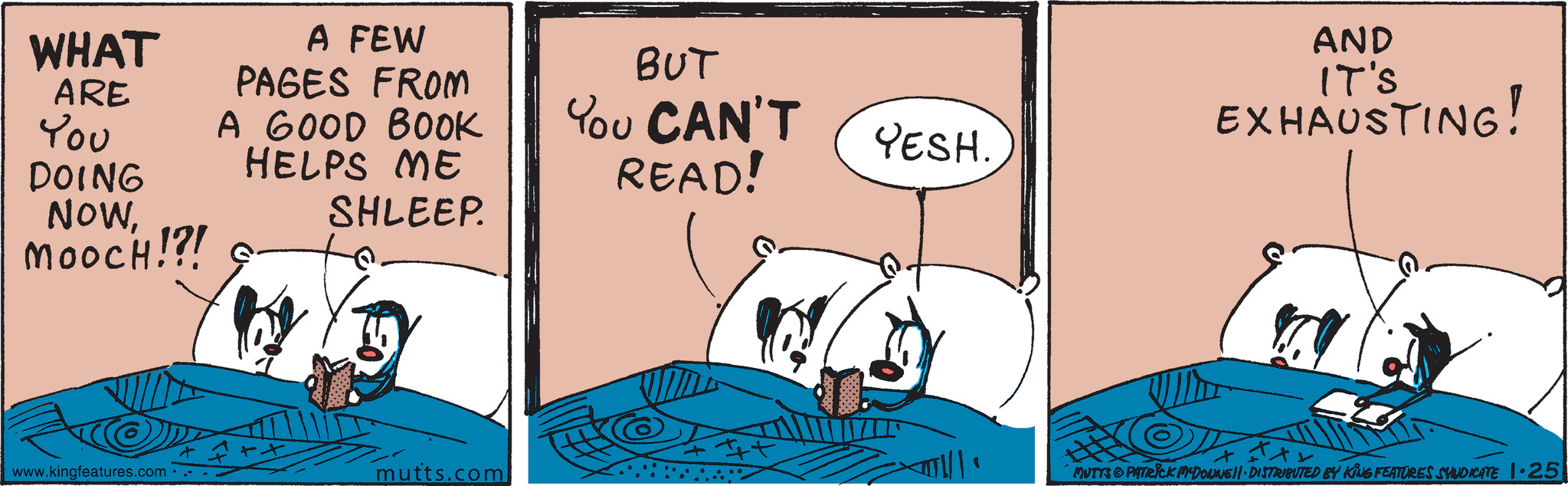Mutts Comic Strip 2024-01-25 | Comics Kingdom