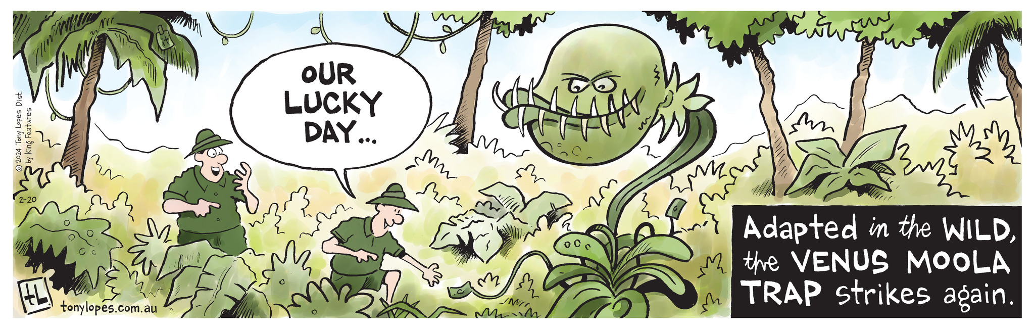 Insanity Streak Comic Strip 2024-02-20 | Comics Kingdom