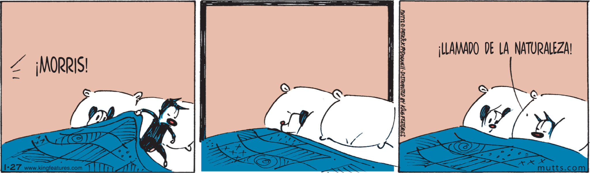 Mutts Comic Strip 2024-02-17 | Comics Kingdom