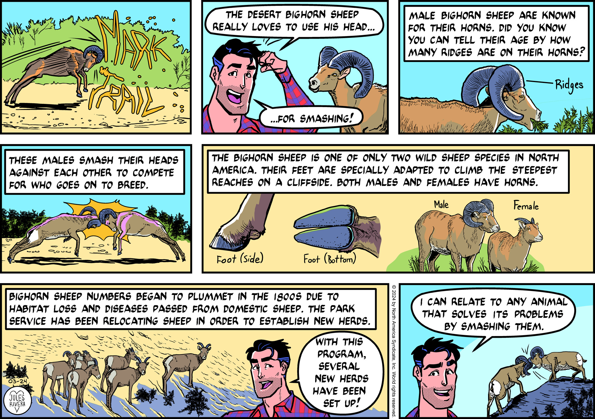Mark Trail Comic Strip 2024-03-24 | Comics Kingdom