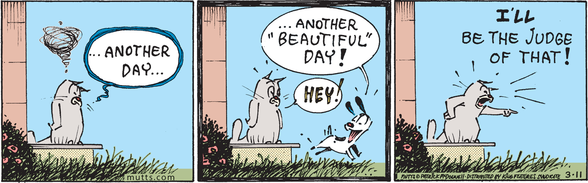 Mutts Comic Strip 2024-03-11 | Comics Kingdom
