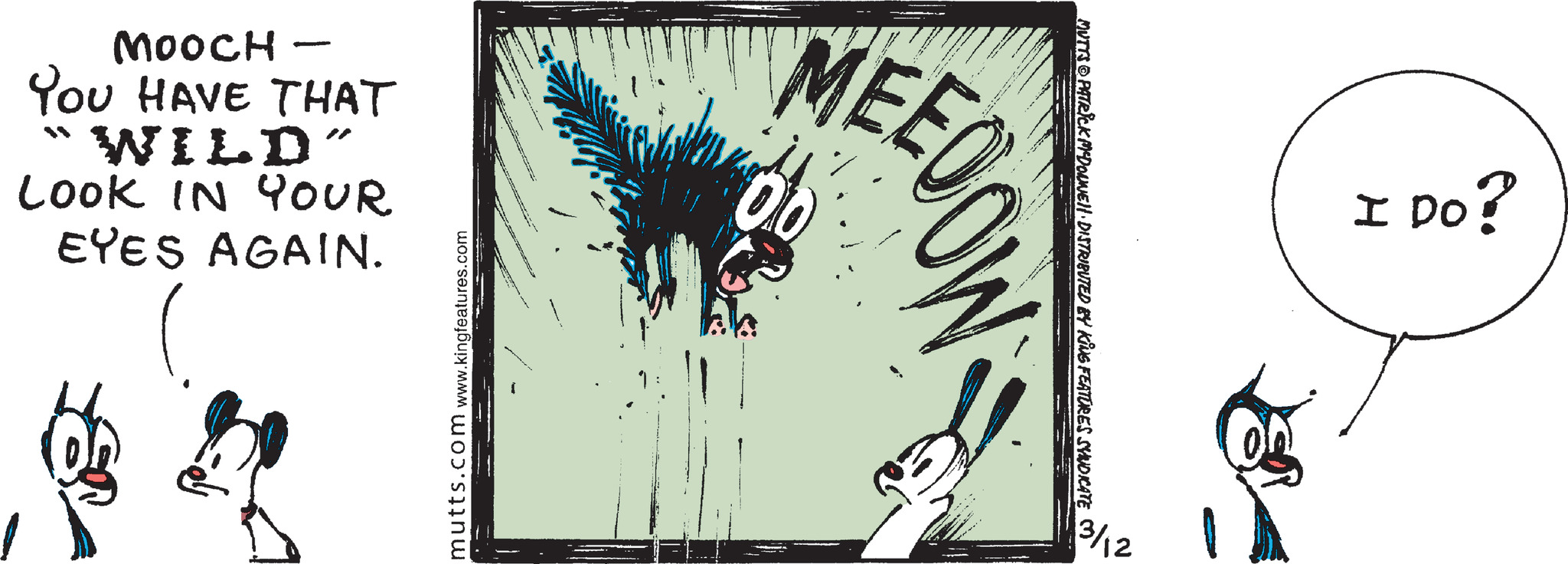 Mutts Comic Strip 2024-03-12 | Comics Kingdom