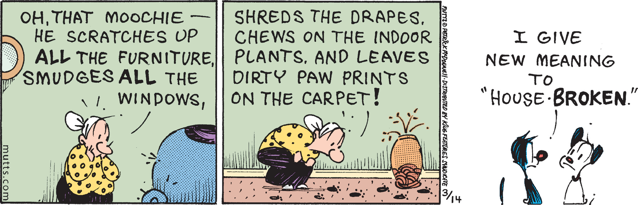 Mutts Comic Strip 2024-03-14 | Comics Kingdom