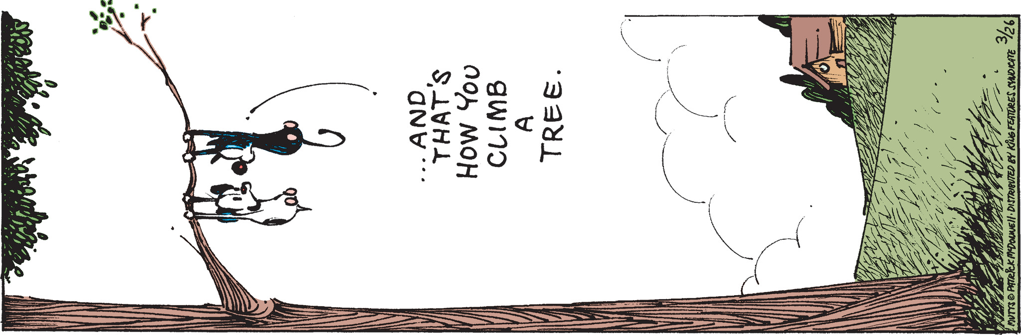 Mutts Comic Strip 2024-03-26 | Comics Kingdom