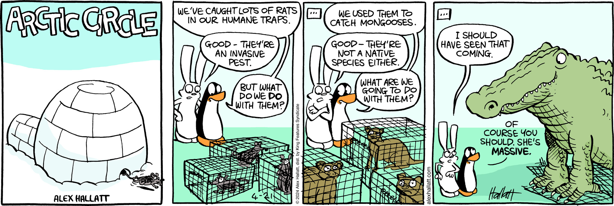 Arctic Circle Comic Strip 2024-04-21 | Comics Kingdom