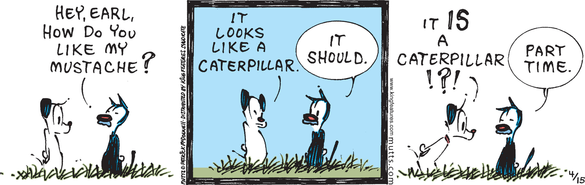Mutts Comic Strip 2024-04-15 | Comics Kingdom