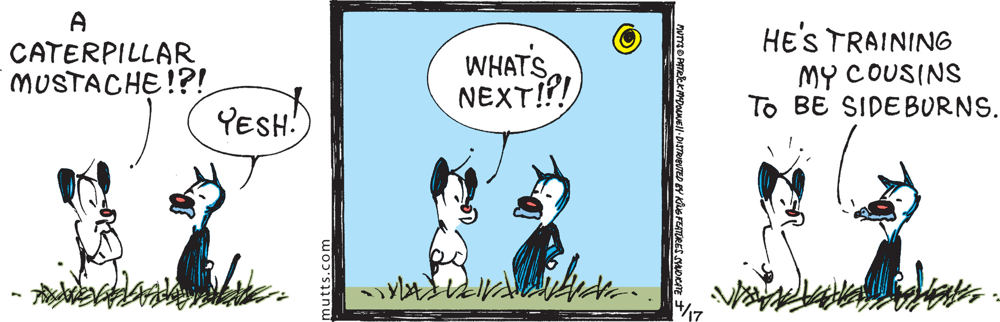 Mutts Comic Strip 2024-04-17 | Comics Kingdom