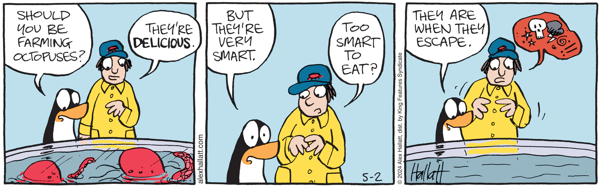 Arctic Circle Comic Strip 2024-05-02 | Comics Kingdom