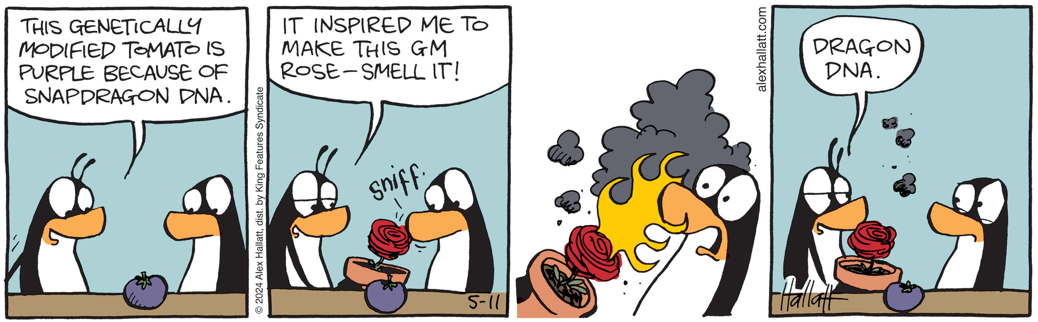 Arctic Circle Comic Strip 2024-05-11 | Comics Kingdom