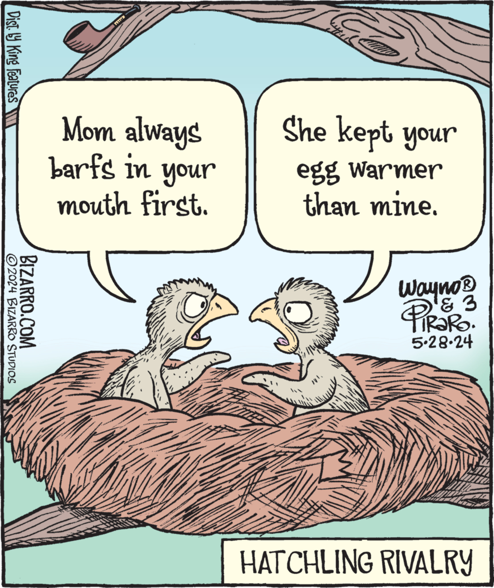 Bizarro Comic Strip 2024-05-28 | Comics Kingdom