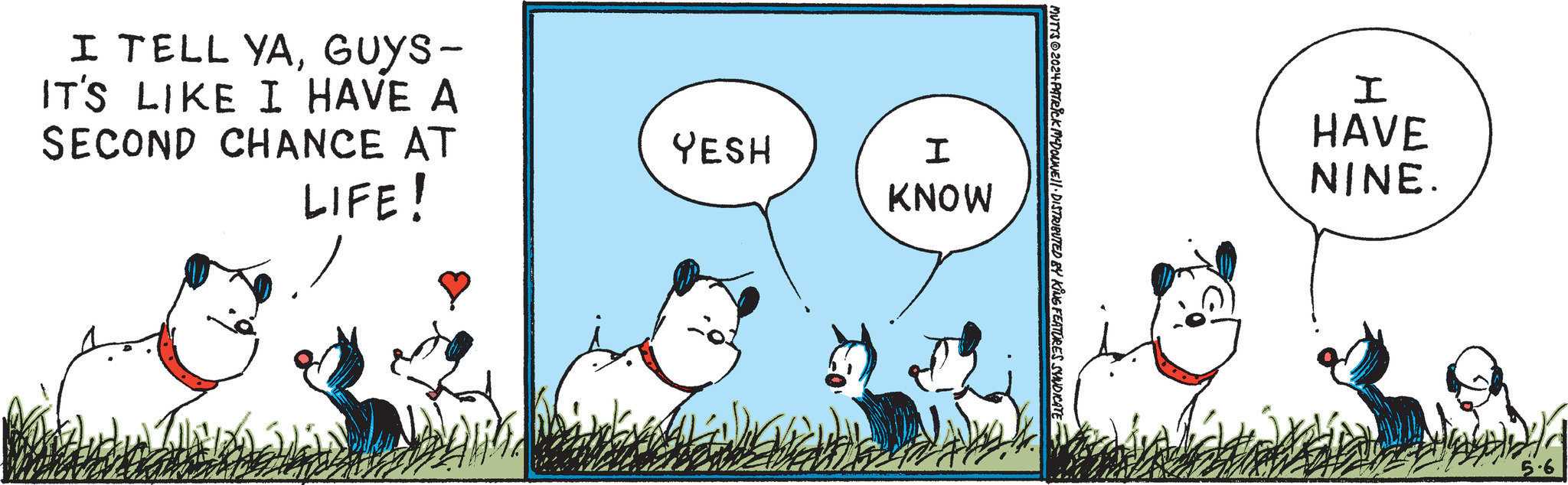 Mutts Comic Strip 2024-05-06 | Comics Kingdom