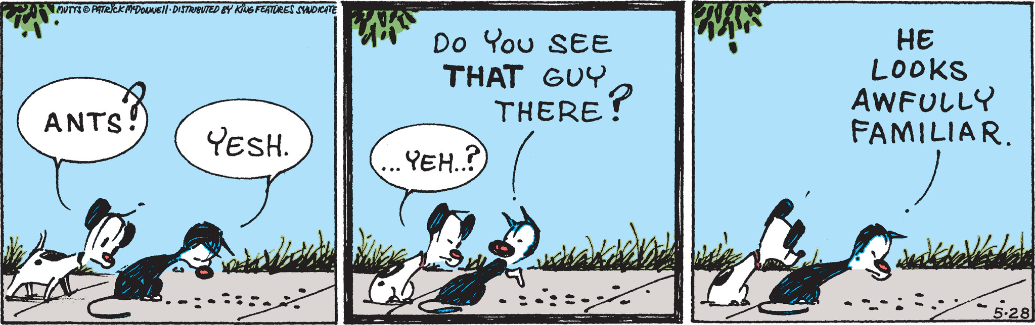 Mutts Comic Strip 2024-05-28 | Comics Kingdom