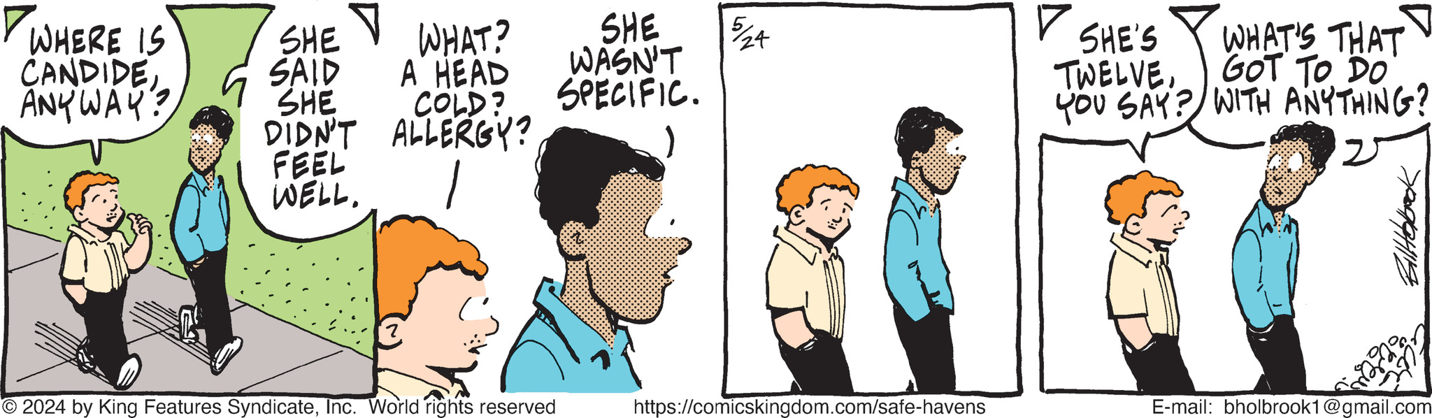 Safe Havens Comic Strip 2024-05-24 | Comics Kingdom