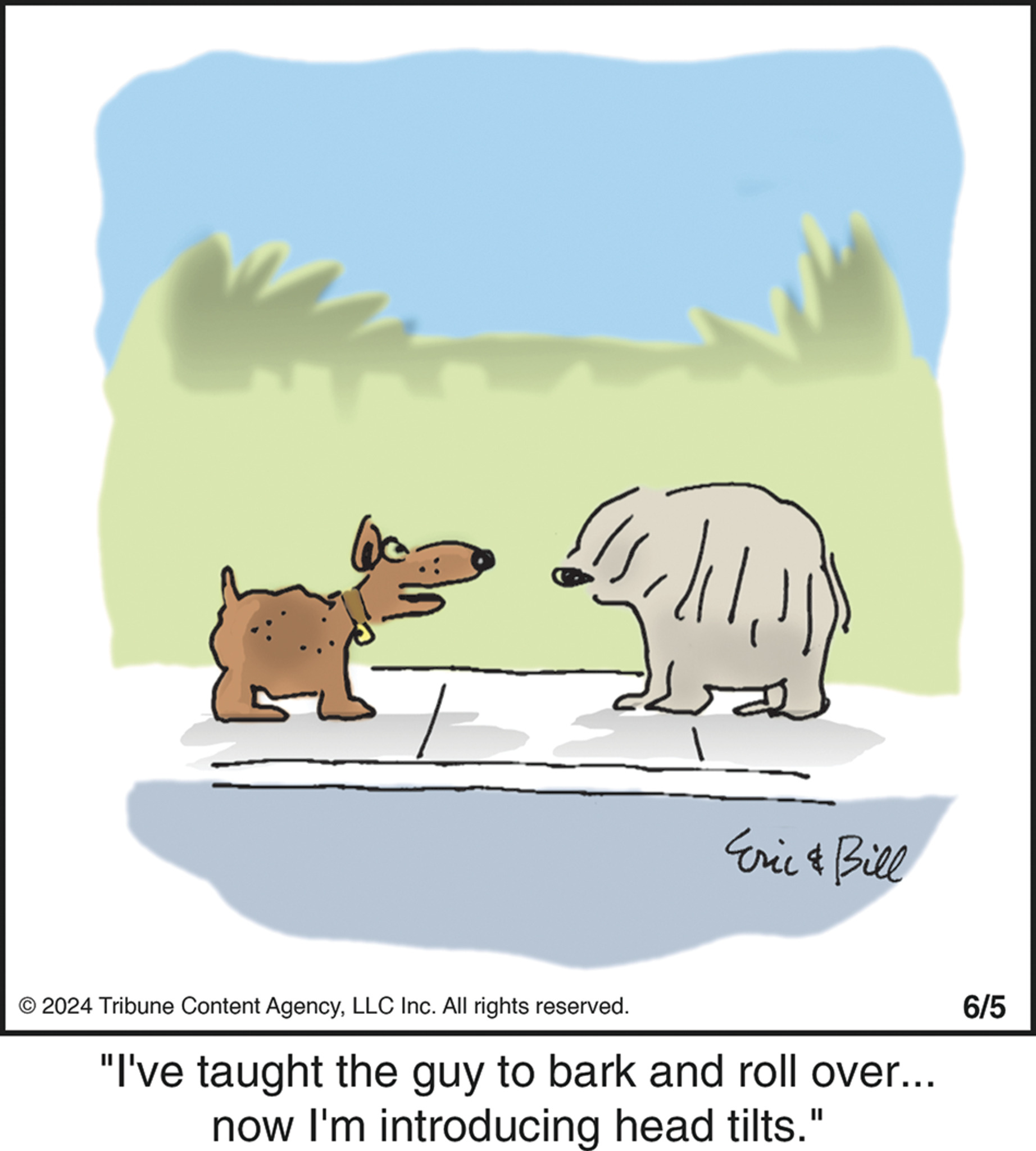 Bottom Liners Comic Strip 2024-06-05 | Comics Kingdom