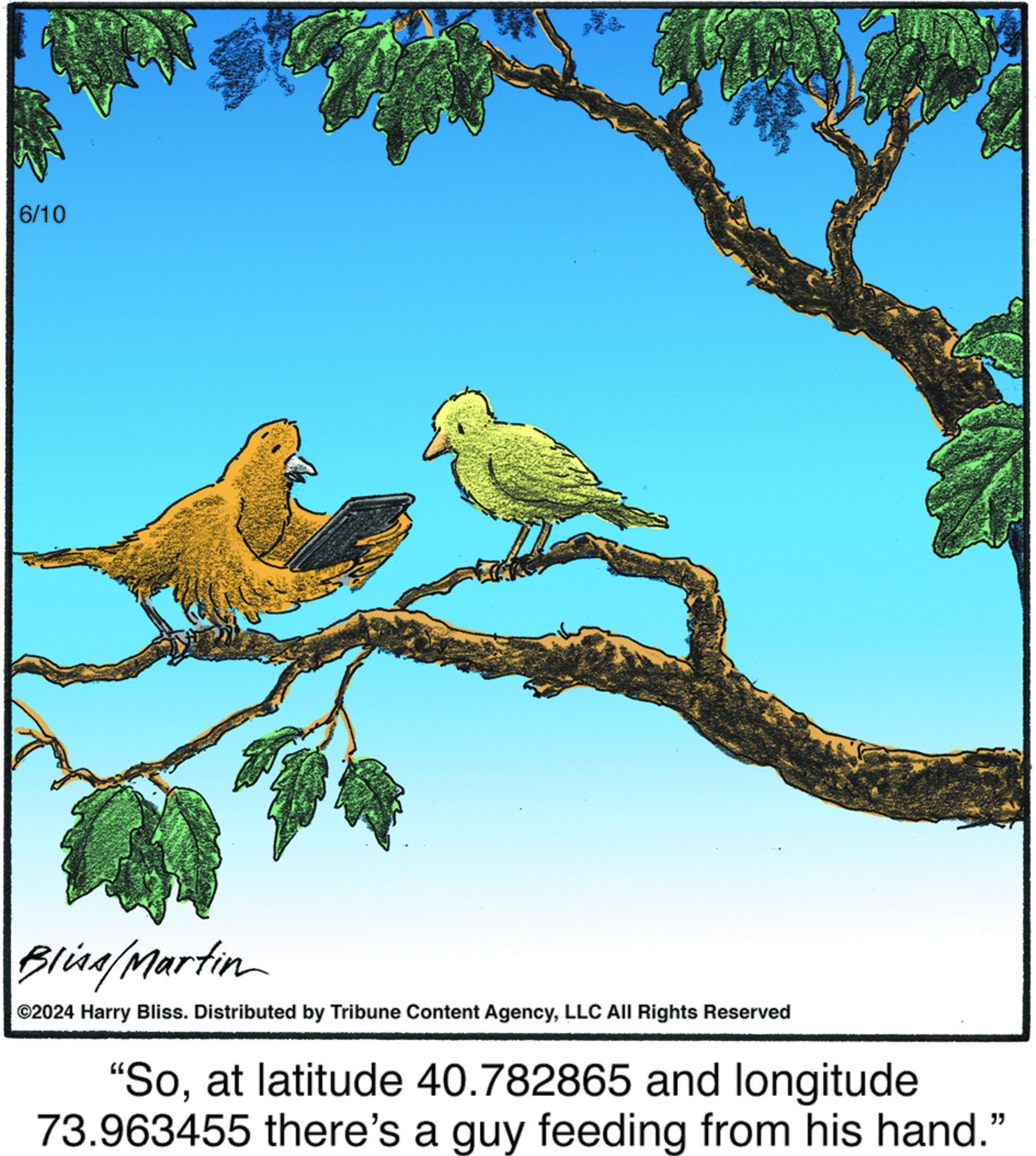 Bliss Comic Strip 2024-06-10 | Comics Kingdom