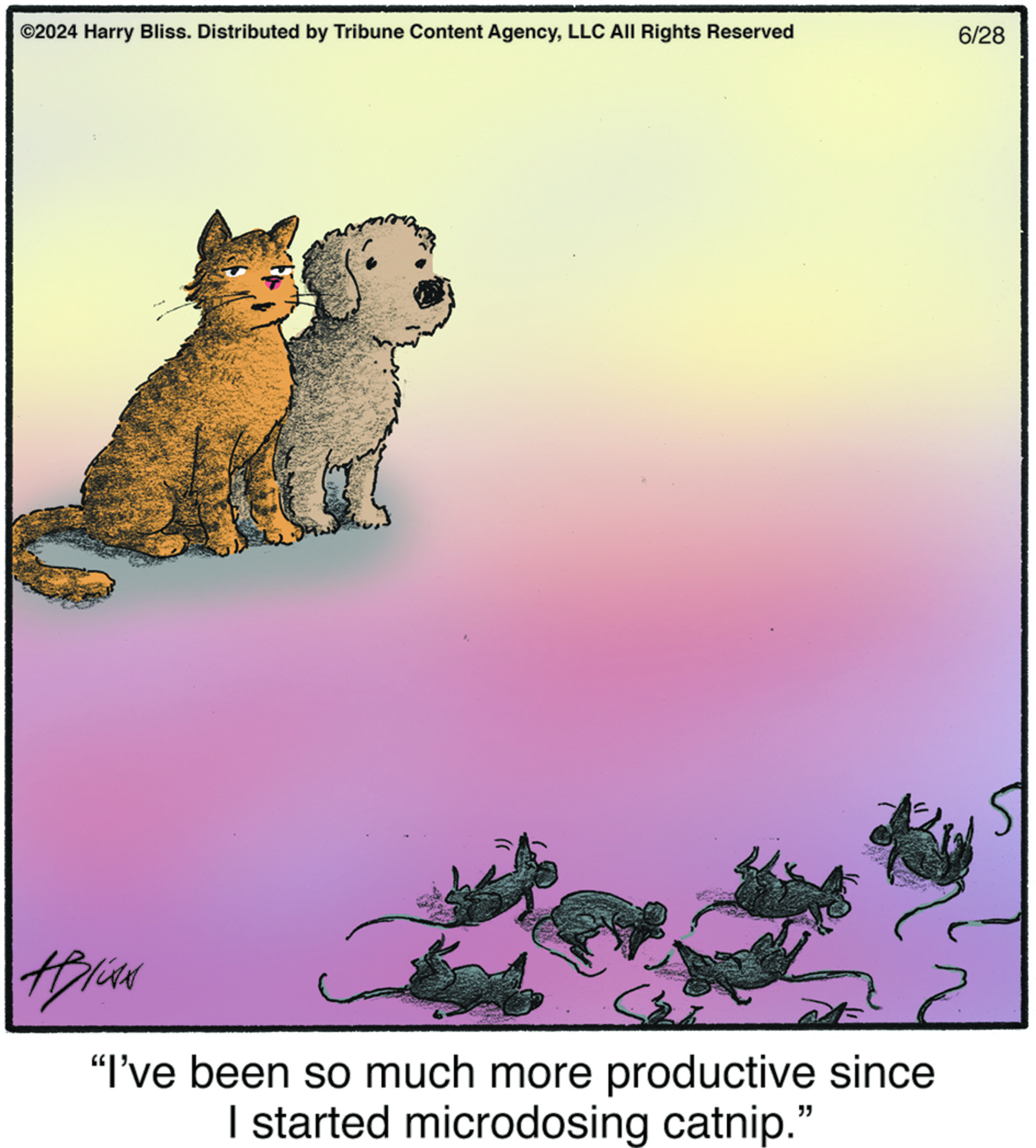 Bliss Comic Strip 2024-06-28 | Comics Kingdom
