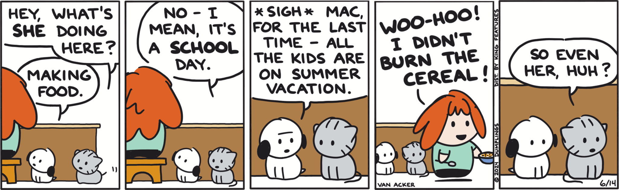 Dumplings Comic Strip 2024-06-14 | Comics Kingdom