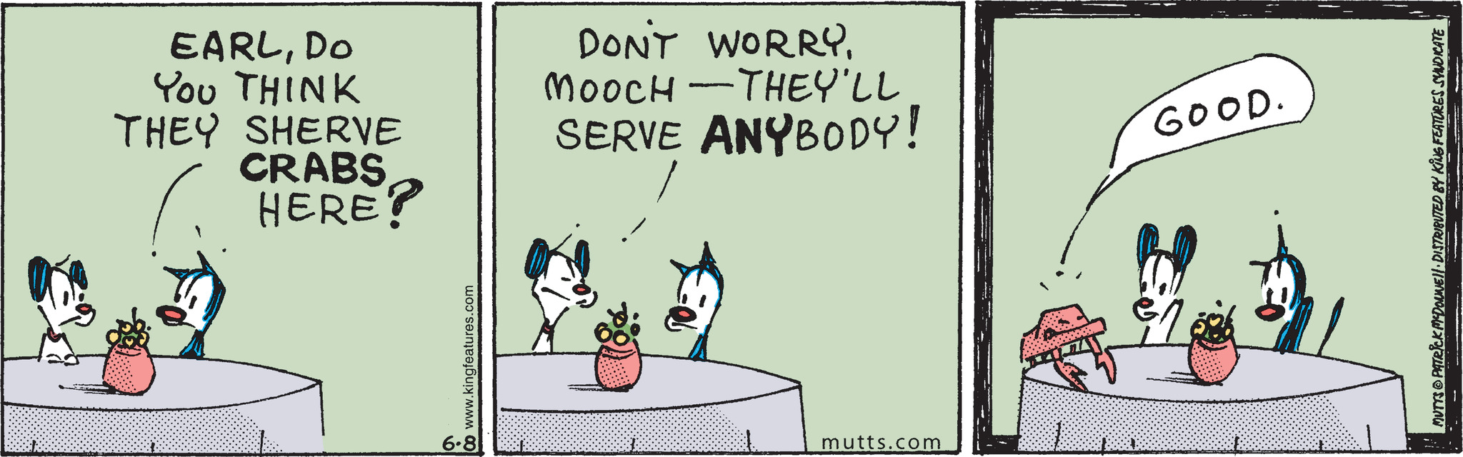 Mutts Comic Strip 2024-06-08 | Comics Kingdom