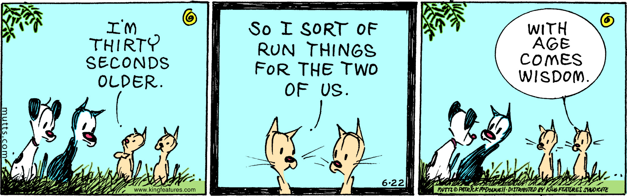 Mutts Comic Strip 2024-06-22 | Comics Kingdom