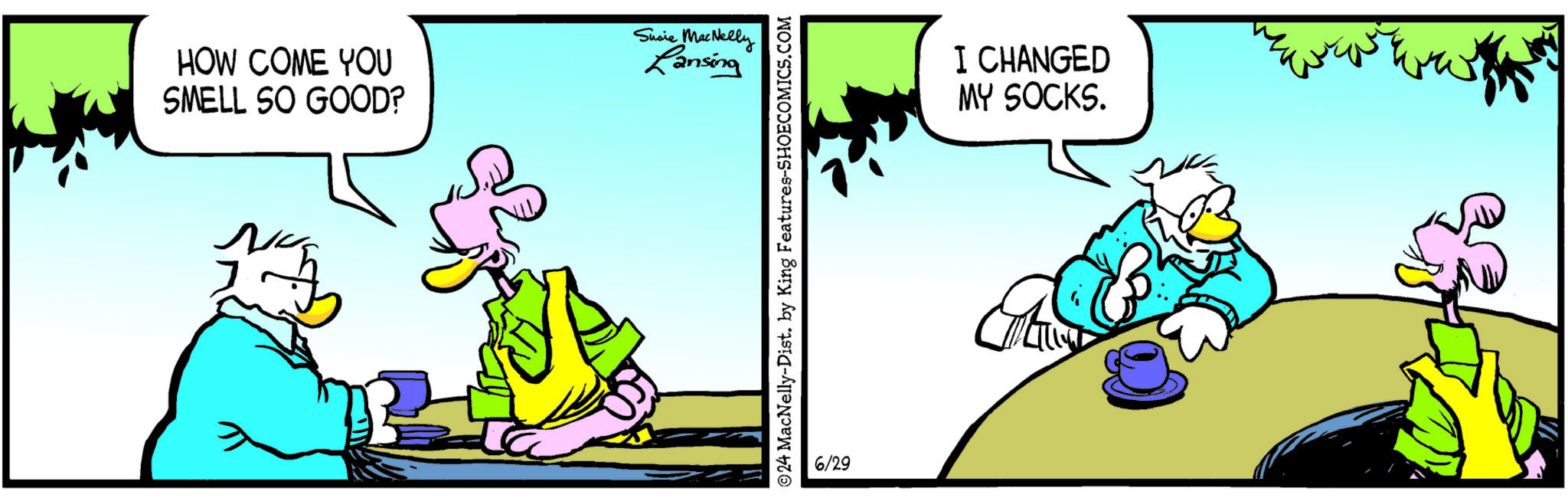 Shoe Comic Strip 2024-06-29 | Comics Kingdom