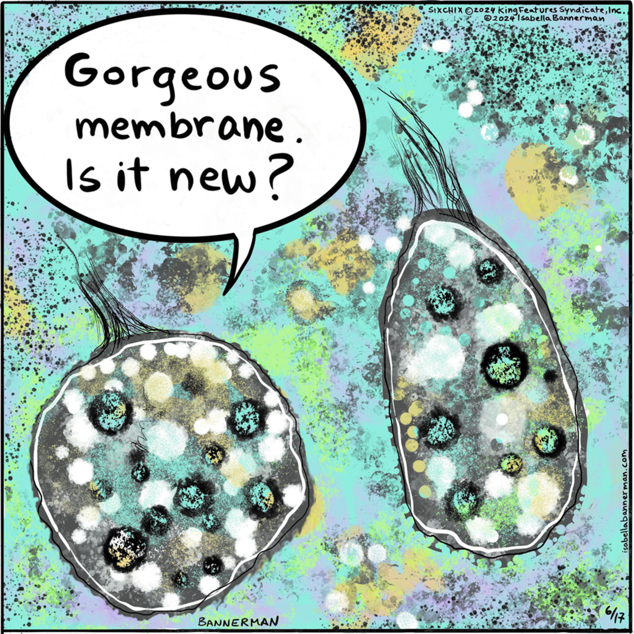 Six Chix Comic Strip 2024-06-17 | Comics Kingdom