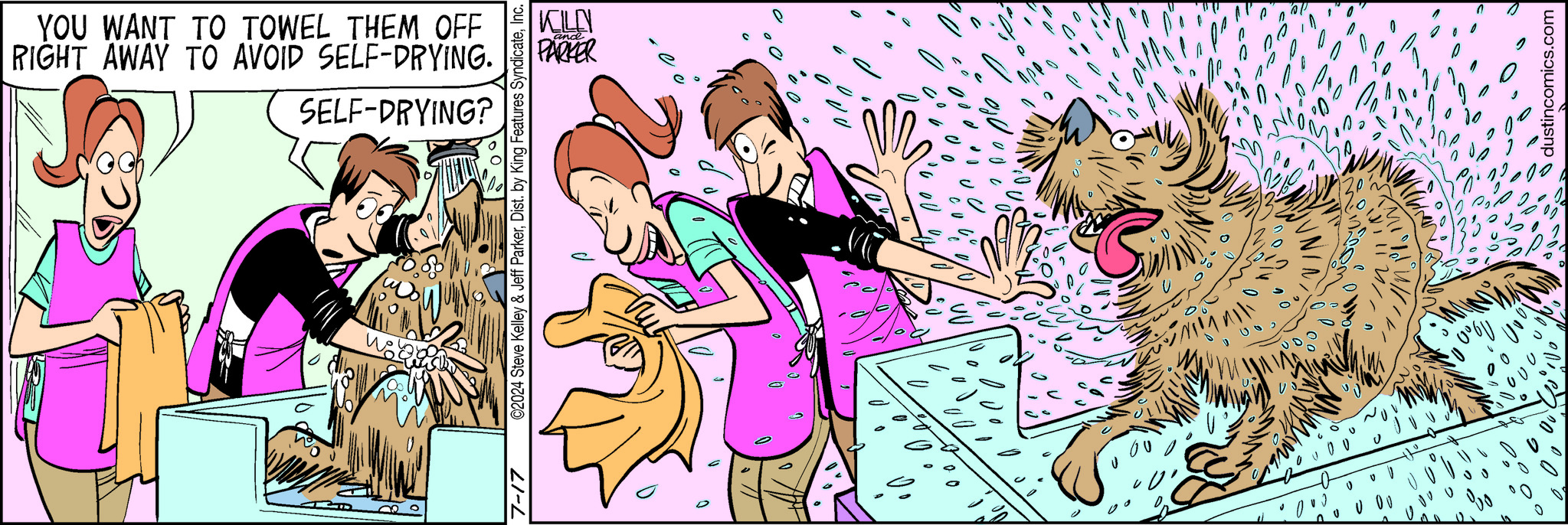 Dustin Comic Strip 2024-07-17 | Comics Kingdom