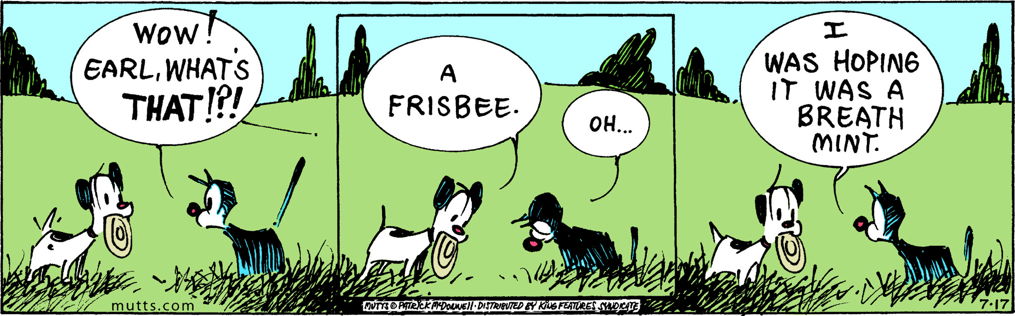 Mutts Comic Strip 2024-07-17 | Comics Kingdom