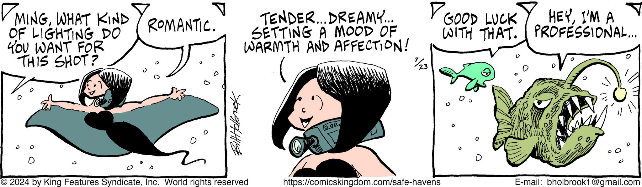 Safe Havens Comic Strip 2024-07-23 | Comics Kingdom