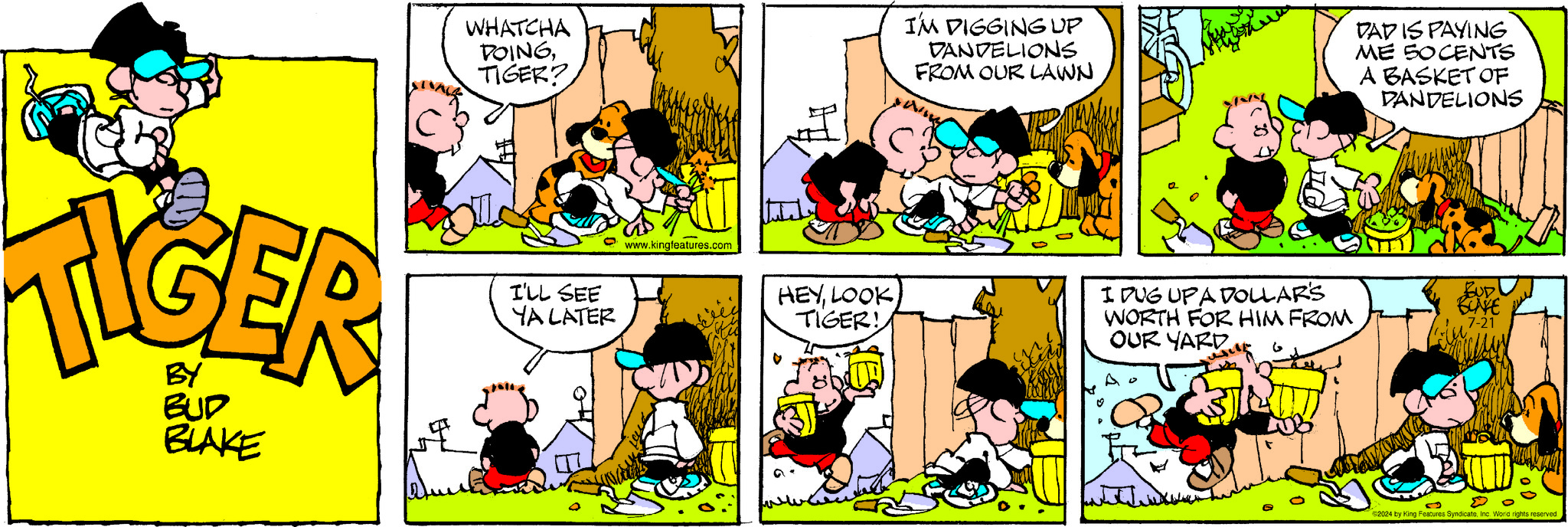 Tiger Comic Strip 2024-07-21 | Comics Kingdom