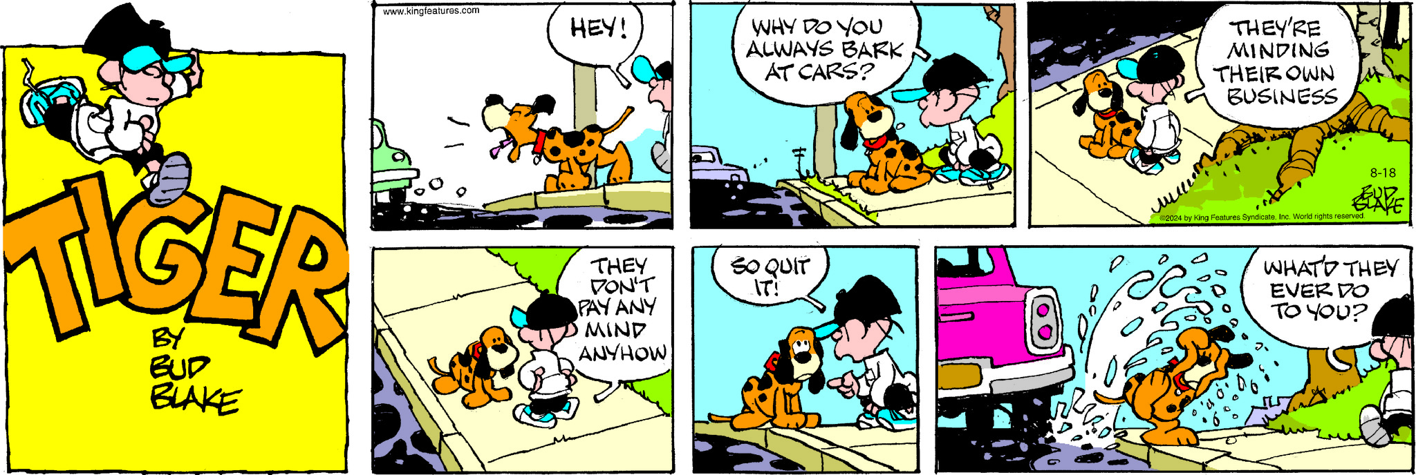 Tiger Comic Strip 2024-08-18 | Comics Kingdom