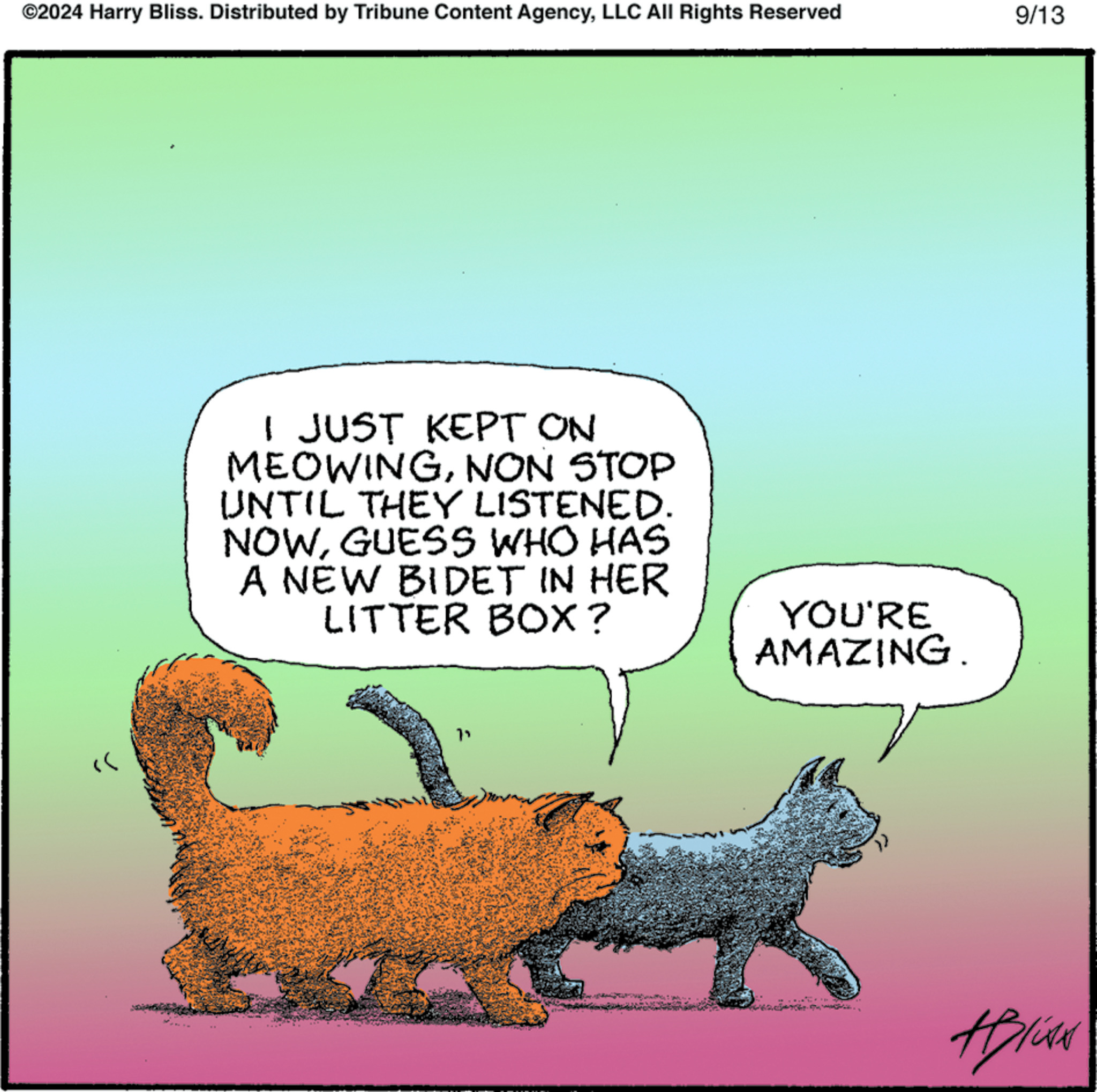 Bliss Comic Strip 2024-09-13 | Comics Kingdom