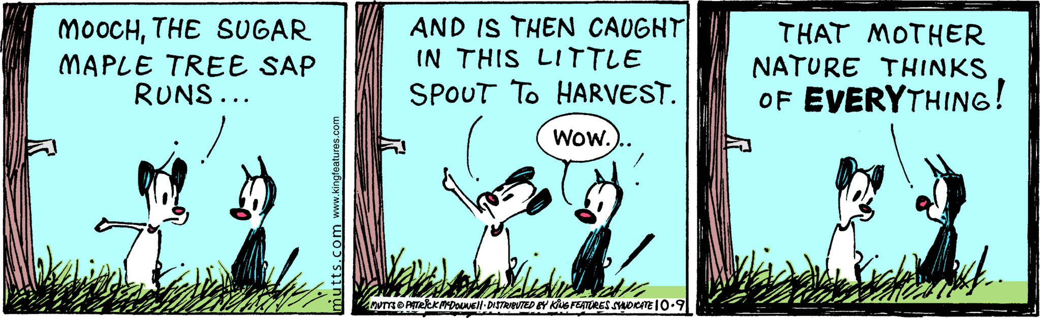 Mutts Comic Strip 2024-10-09 | Comics Kingdom