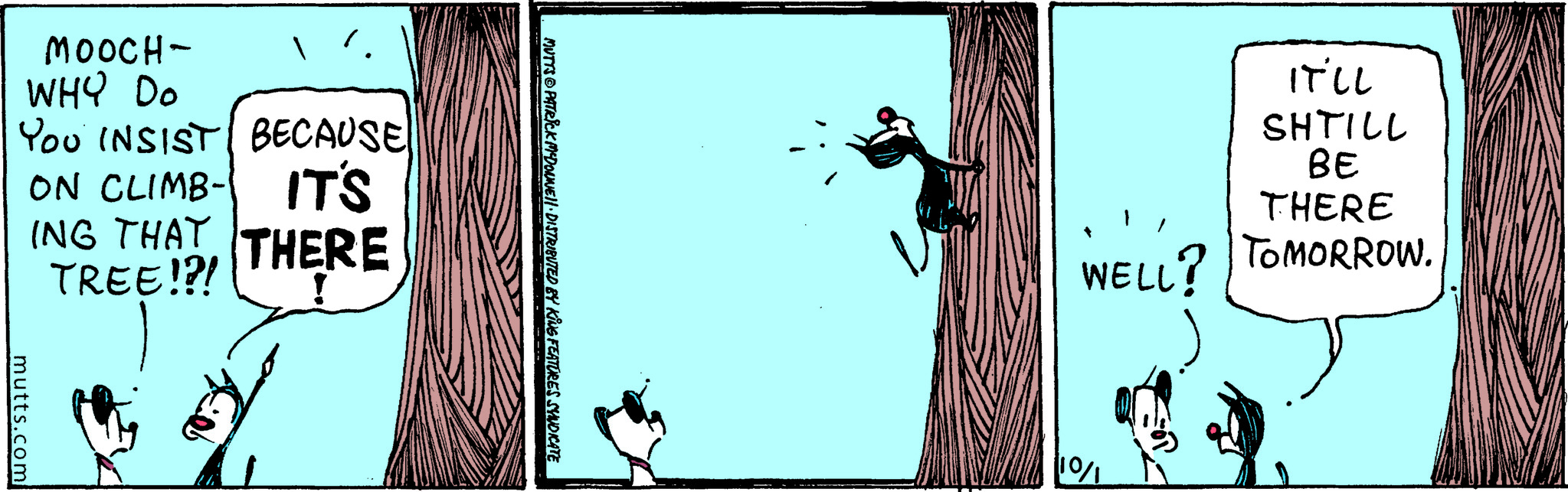 Mutts Comic Strip 2024-10-01 | Comics Kingdom