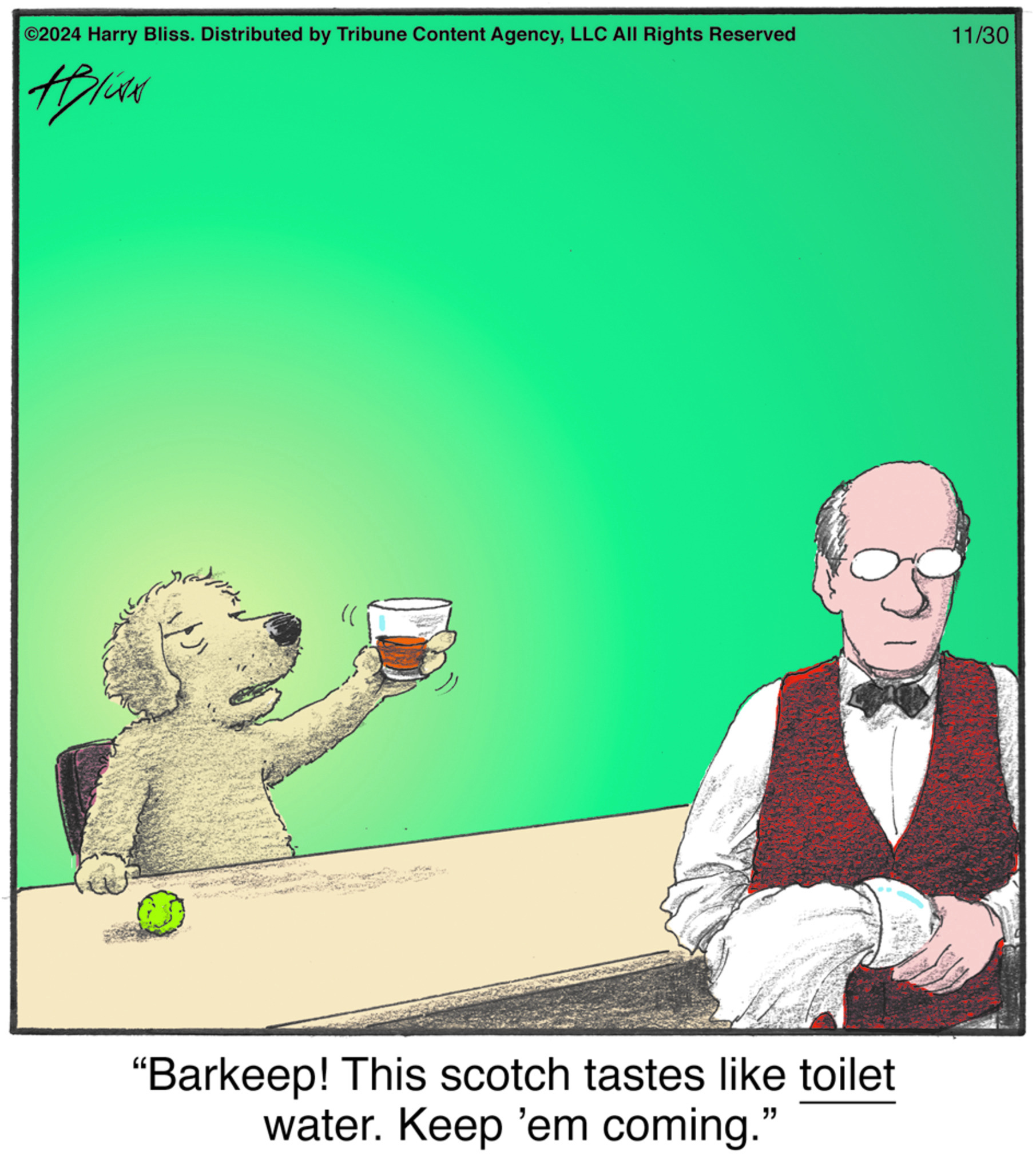 Bliss Comic Strip 2024-11-30 | Comics Kingdom