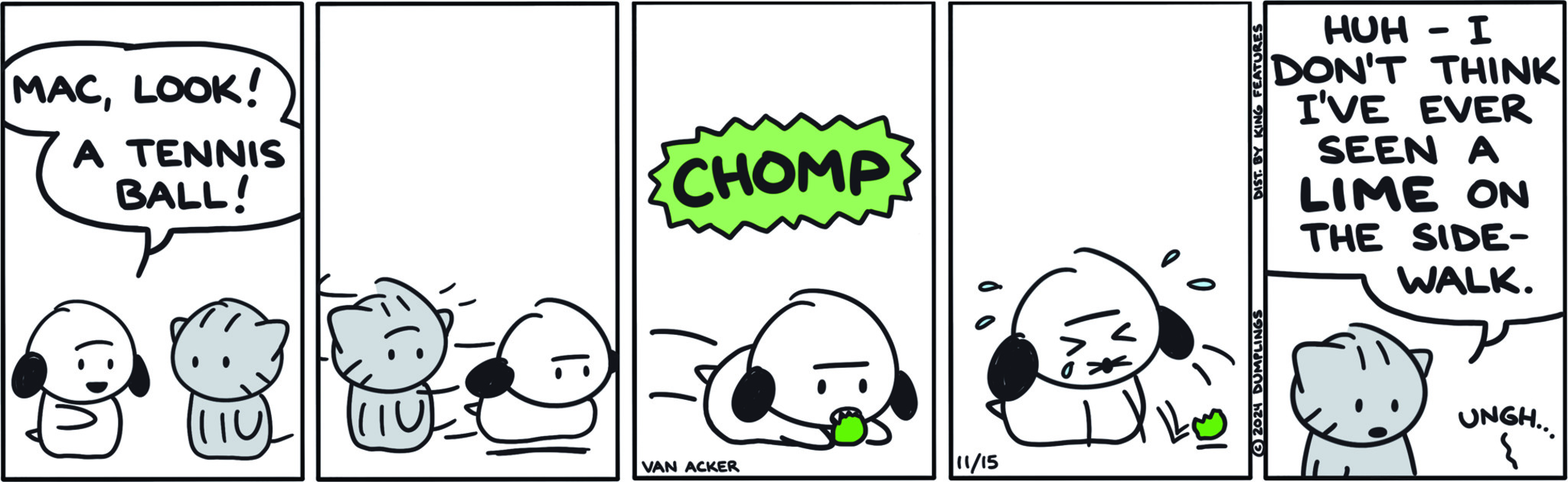 Dumplings Comic Strip 2024-11-15 | Comics Kingdom