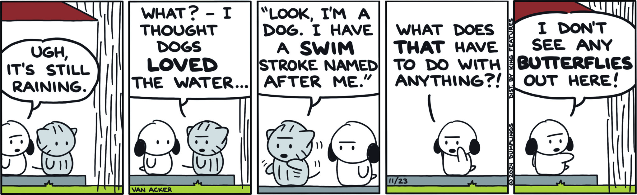 Dumplings Comic Strip 2024-11-23 | Comics Kingdom