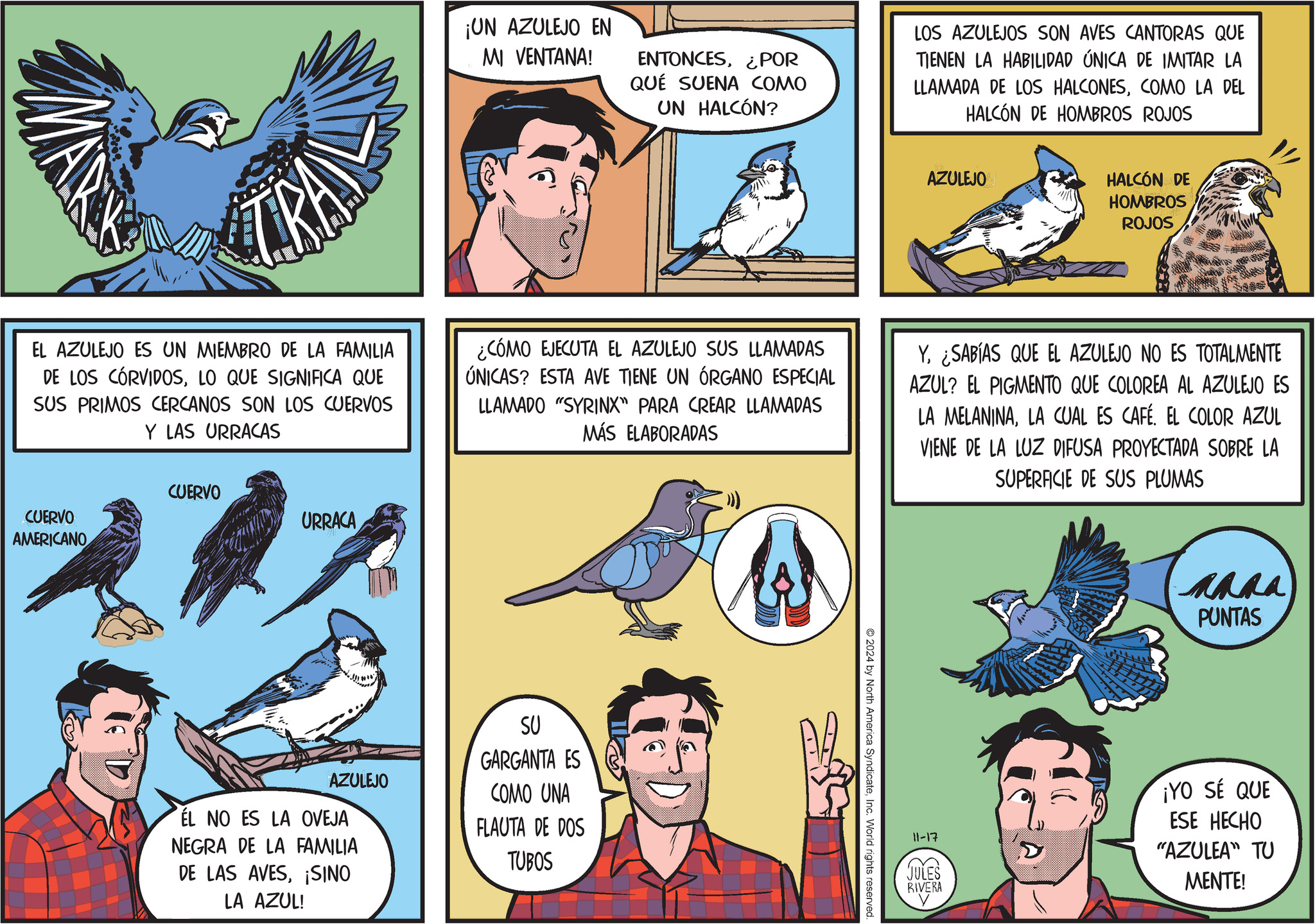 Mark Trail Comic Strip 2024-11-17 | Comics Kingdom