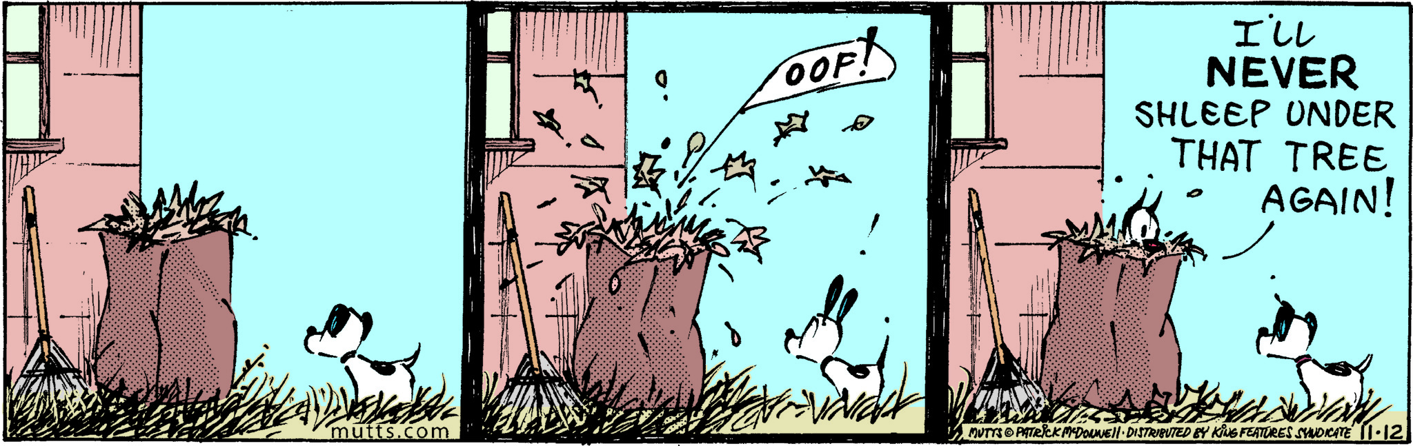 Mutts Comic Strip 2024-11-12 | Comics Kingdom