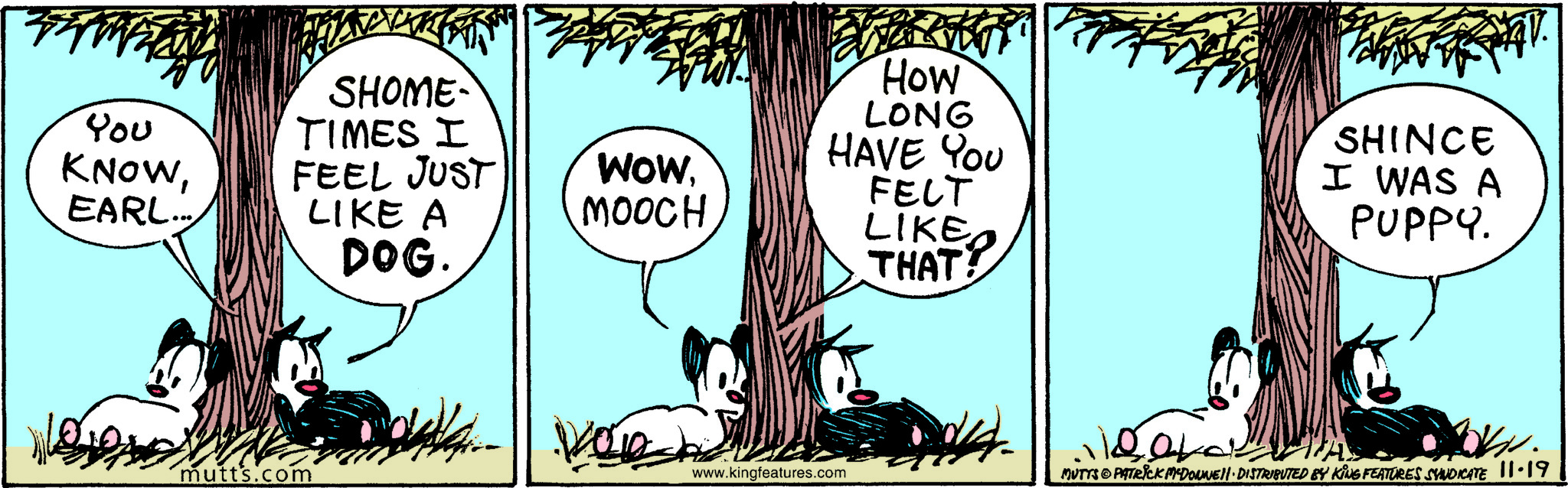Mutts Comic Strip 2024-11-19 | Comics Kingdom