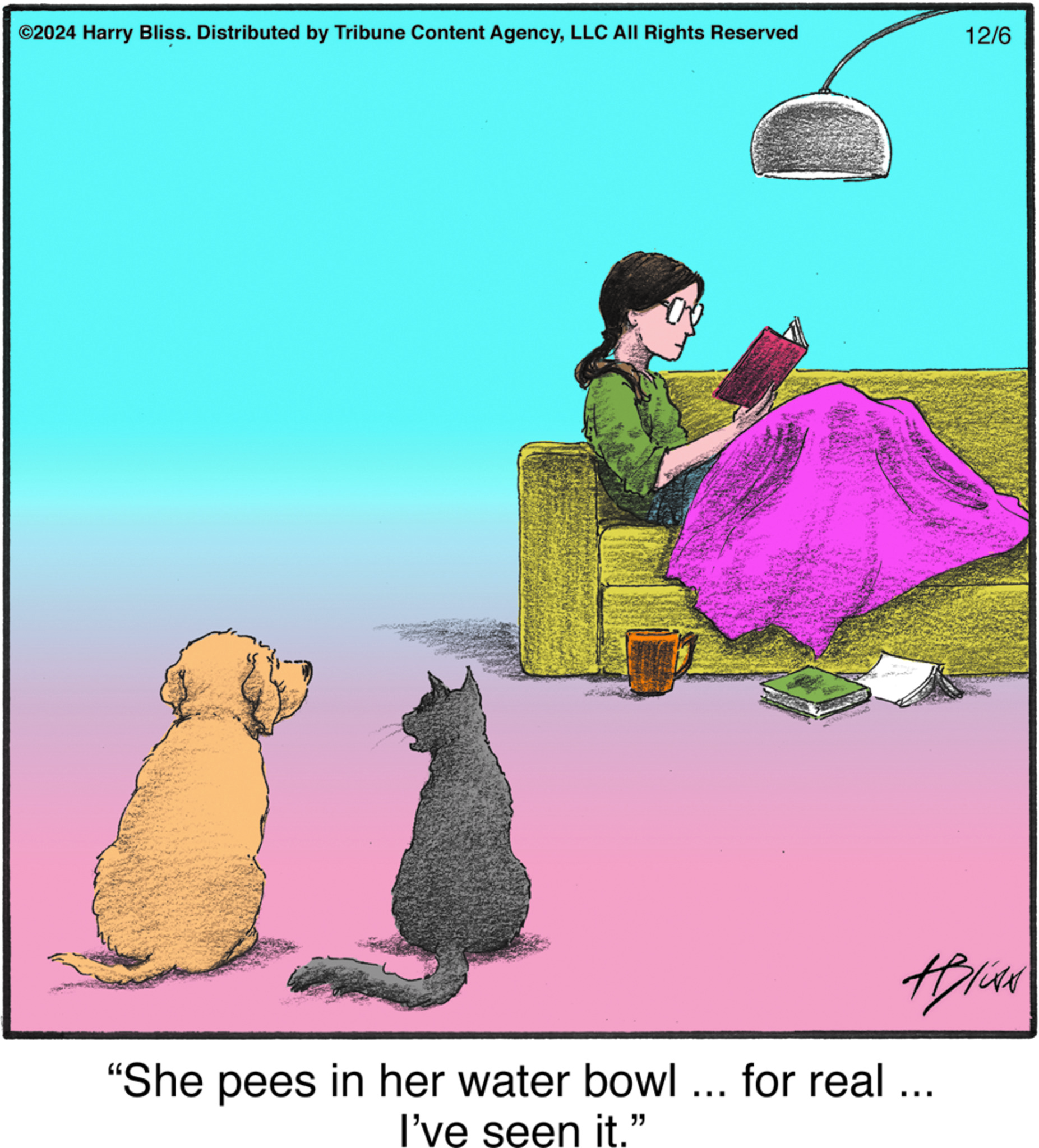 Bliss Comic Strip 2024-12-06 | Comics Kingdom