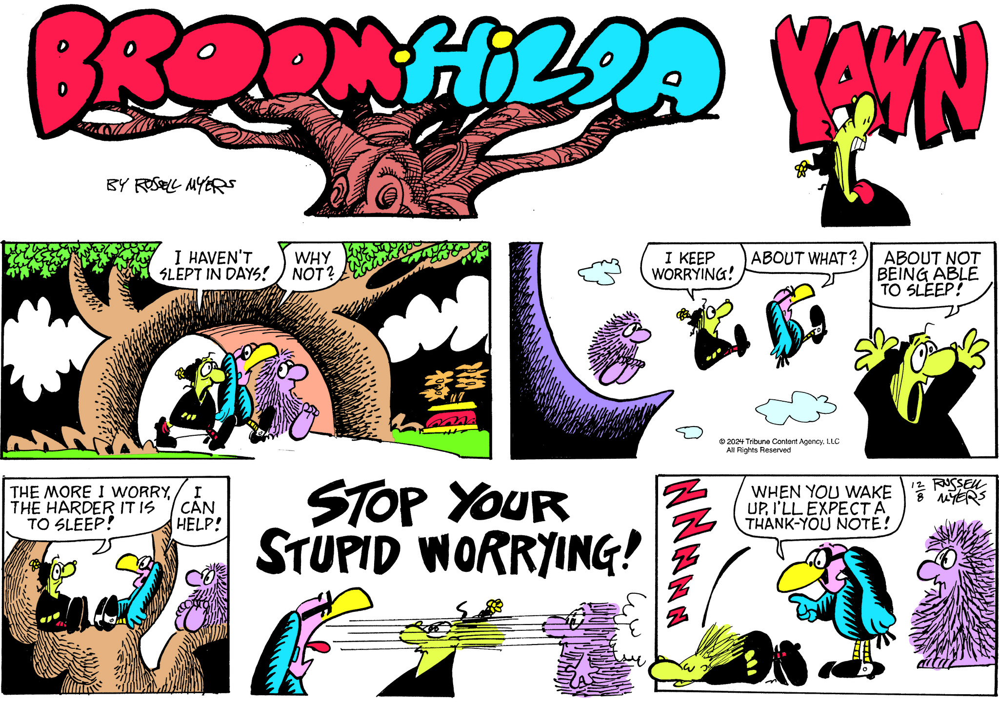 Broom-Hilda Comic Strip 2024-12-08 | Comics Kingdom