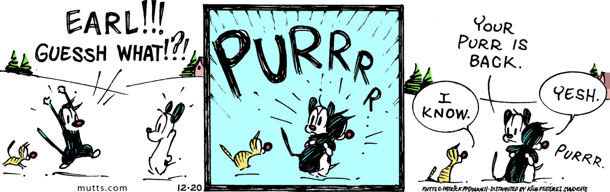 Mutts Comic Strip 2024-12-20 | Comics Kingdom