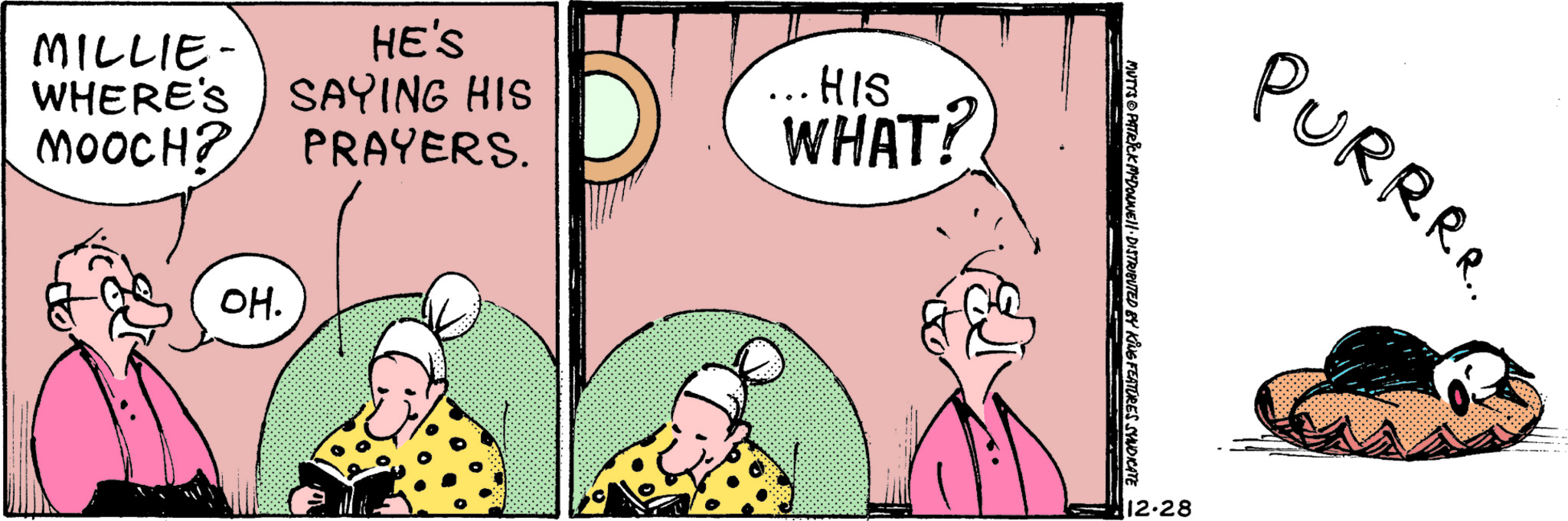 Mutts Comic Strip 2024-12-28 | Comics Kingdom