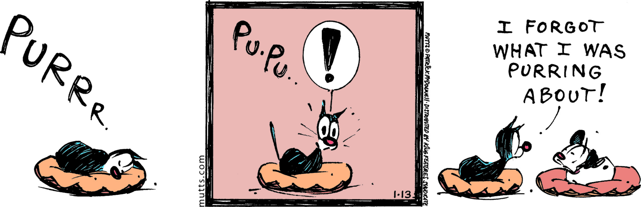 Mutts Comic Strip 2025-01-13 | Comics Kingdom